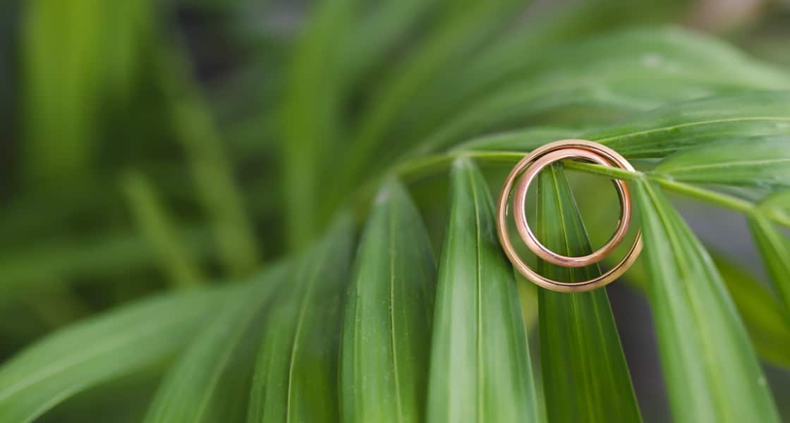 Jaded – Designs & Decor – Unapologetically Curated Gifts, Jewelry & Decor💖